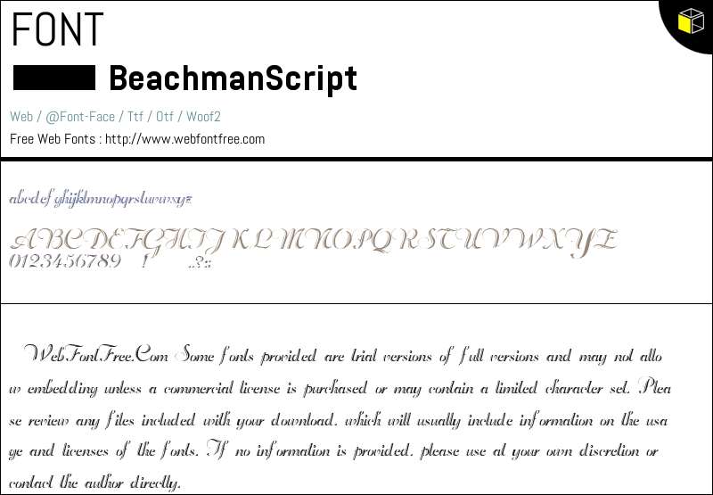 Beachman Script Fonts Downloads - WebFontFree.Com