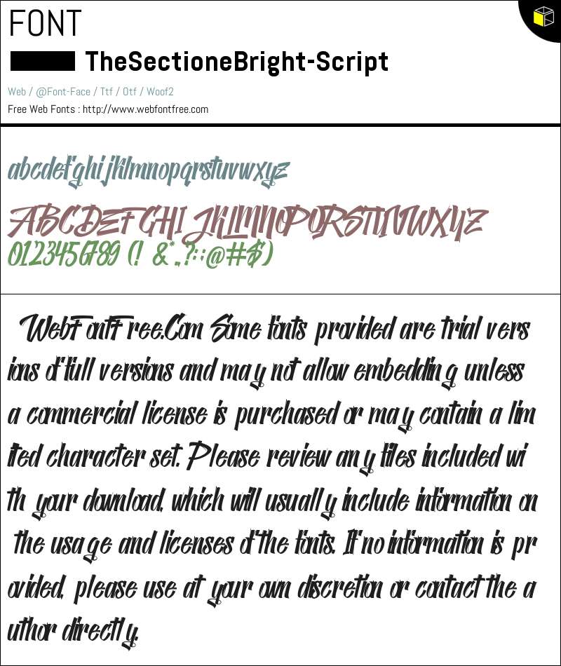 TheSectioneBright-Script Fonts Downloads - WebFontFree.Com